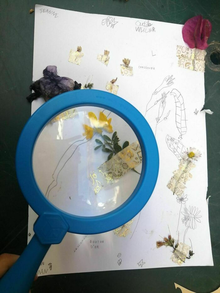 Découverte des petits jardins partagés du 20e arrondissement | Région ...