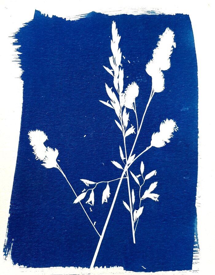 Atelier Cyanotype au domaine de Saint-Jean de Beauregard | Région Île ...