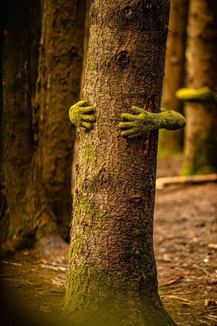 Tree Hug | Région Île-de-France