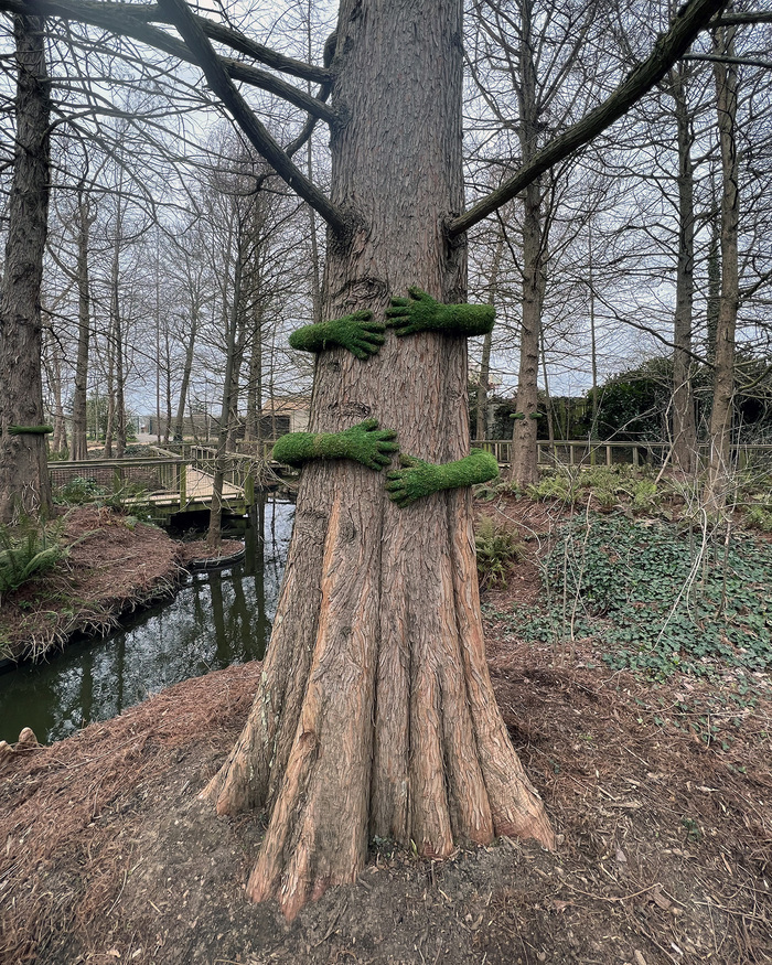 Rencontre avec Monsieur Plant, créateur de l'installation Tree Hug ...